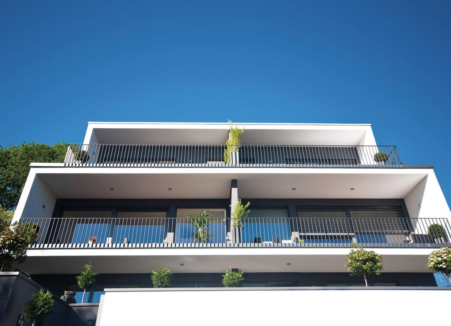 Wood windows - Wood Aluminum - Dimming System | Naples - Giorgio Senatore